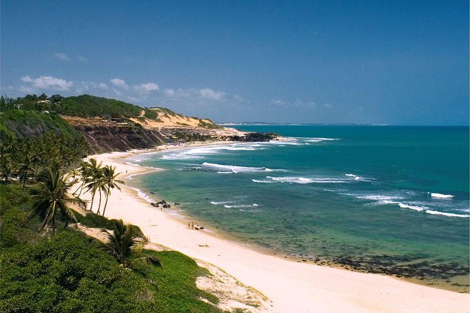 Sun and Fun at Pipa Beach: Day Tour From Natal - Visiting Baia Dos Golfinhos and Chapadao Hill