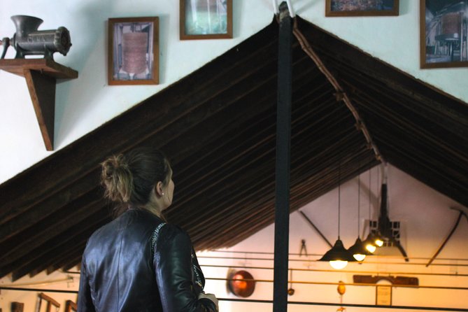 Sun and Wine Route: A Detailed Review - Safety Considerations and Physical Requirements