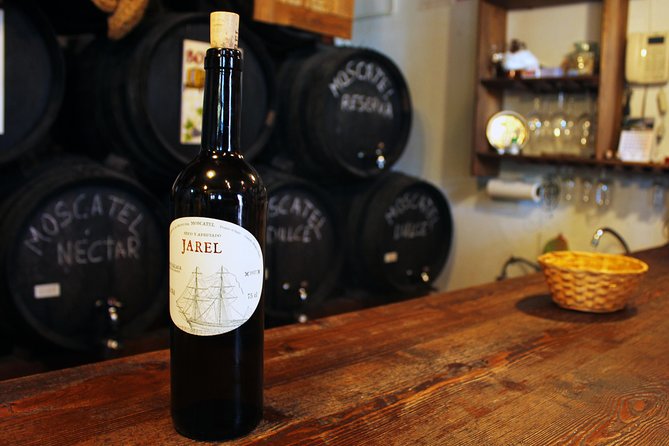 Sun and Wine Route - Small group, wine tasting and lunch included - Introduction