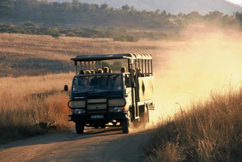 Sun City: 6H Game Drive with Lunch - A Closer Look at the Safari Experience