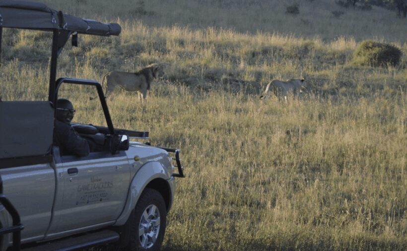 Sun City: 6H Game Drive with Lunch - FAQs