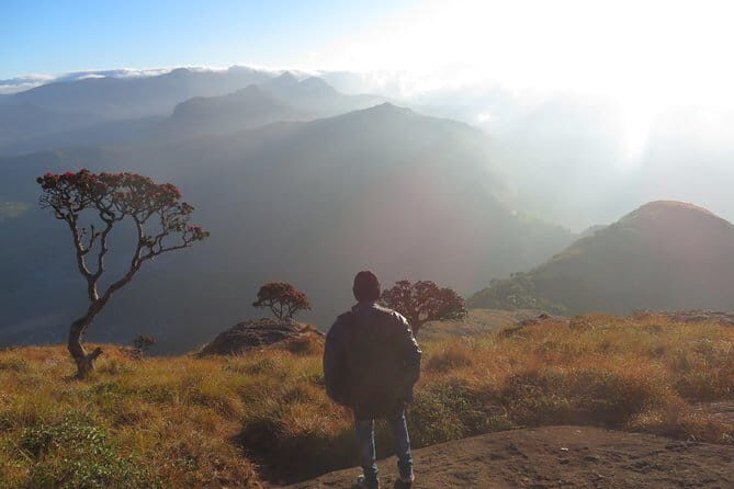Sun-rise Trek (chokramudi) - Who This Tour is Best For