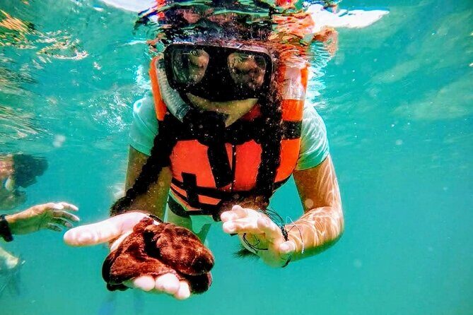 Sun, Sea & Streets: Beach Day + Snorkel Adventure & City Tour - Final Thoughts