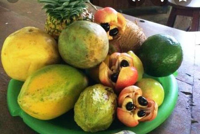 Sun Valley farm Tour - Key Points