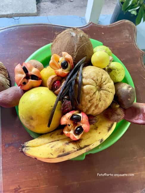 Sun Valley Plantation: Tropical paradise garden with hummingbirds - Key Points