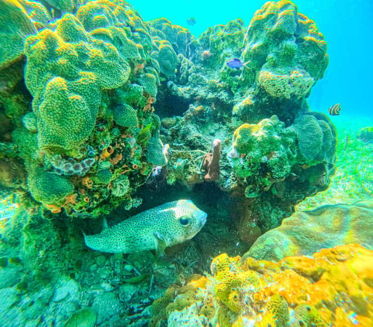 SunCay Private Oceanview Villa up to 6 with Lunch and Ferry - FAQ About the SunCay Private Oceanview Villa Tour