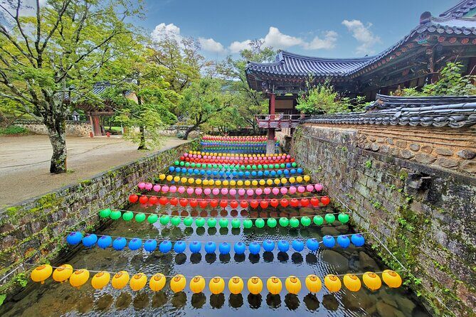 Suncheon one day tour from Seoul, Busan or Suncheon - Key Points