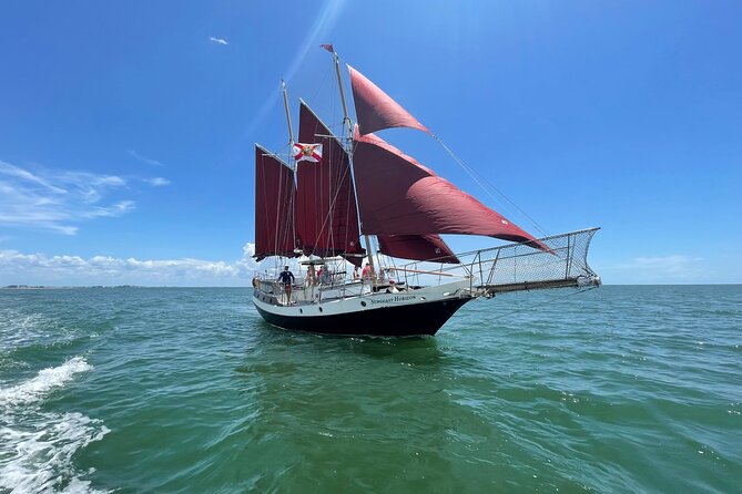 Suncoast Sailings Day Sailing Experience! - Exploring the Gulf of Mexico