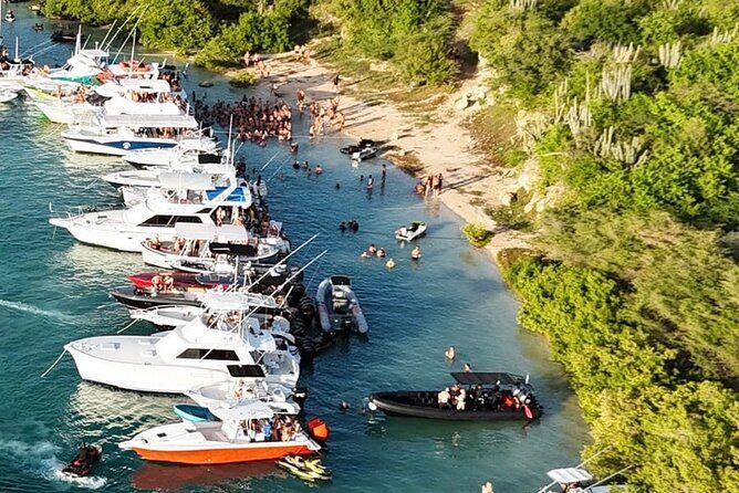 Sunday Boat Festival/Meet up with Djs, open bar & snacks - A detailed look at the experience