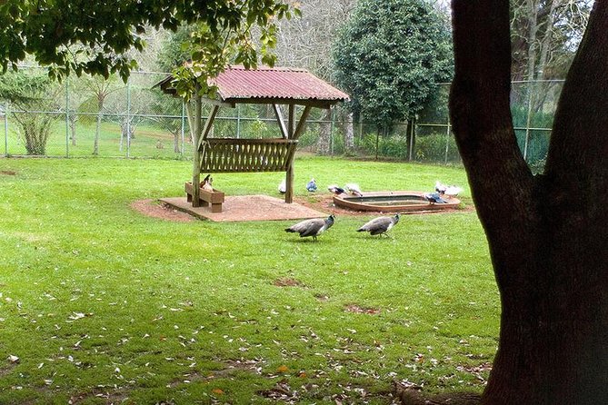 Sunday Market and Gardens Tour - FAQ