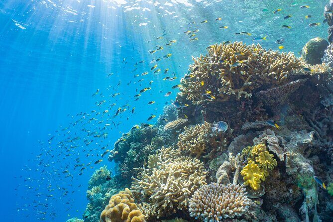 Sunlover Reef Cruises Cairns Great Barrier Reef Experience - Final Thoughts