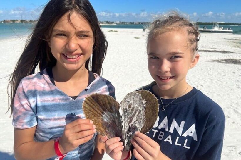 Sunrise and Shine 10,000 Islands Shelling Tour - The Sum Up