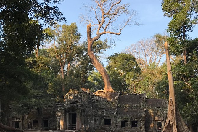 Sunrise Angkor Wat Private Tour - Authentic Insights from Travelers