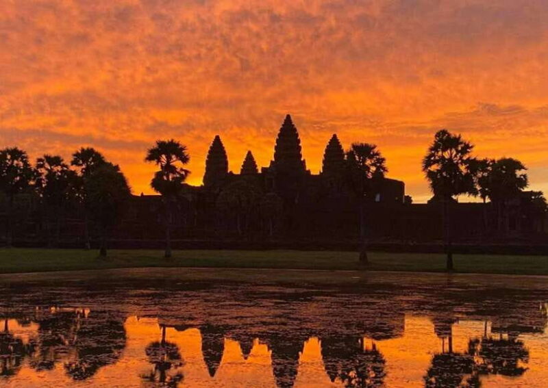 Sunrise at Angkor Wat and Small Tour with Tours Guide - The Jungle Mystery of Ta Prohm