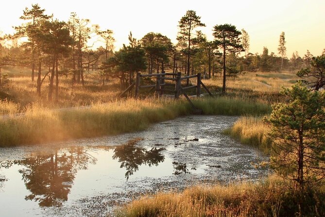 Sunrise at Kemeri National Park - An In-Depth Look at the Sunrise Tour Experience
