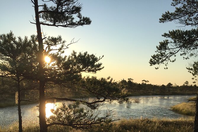 Sunrise at Kemeri National Park - Who Should Consider This Tour?