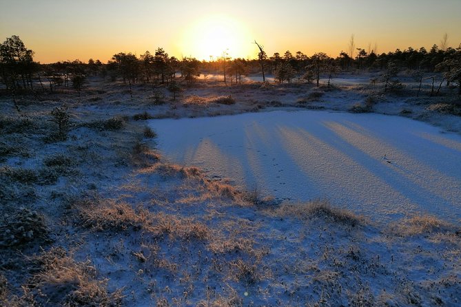 Sunrise at Kemeri National Park + Jurmala - Review Highlights