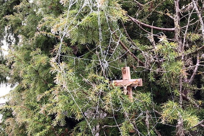 Sunrise at the Hill of Crosses - 2 Countries in 1 Day - Glowing Reviews and Testimonials