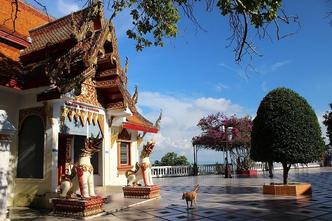 Sunrise Blessing Experience at Doi Suthep with Small Group - FAQ