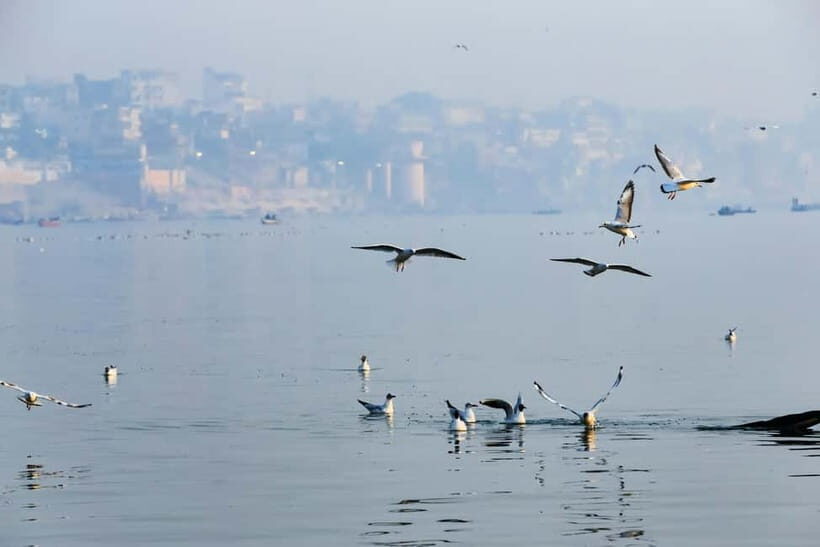 Sunrise Boat Ride, Ganga Arti, Street Food, Heritage Walk - Experience Varanasi: A Deep Dive into the Sunrise Boat Ride, Ganga Aarti, Street Food, and Heritage Walk