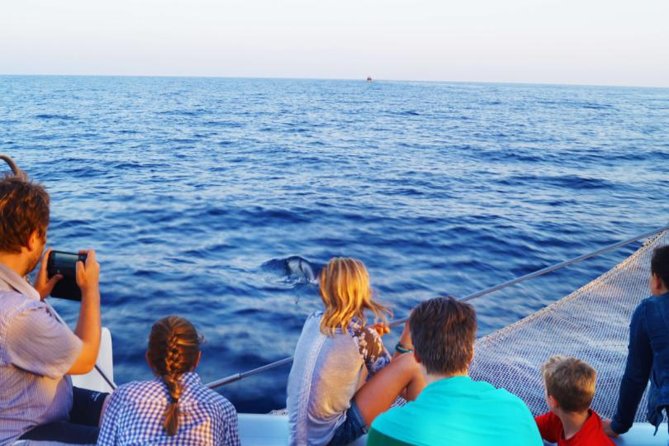 Sunrise Boat Trip in Mallorca With Dolphin-Watching - Spotting the Dolphins