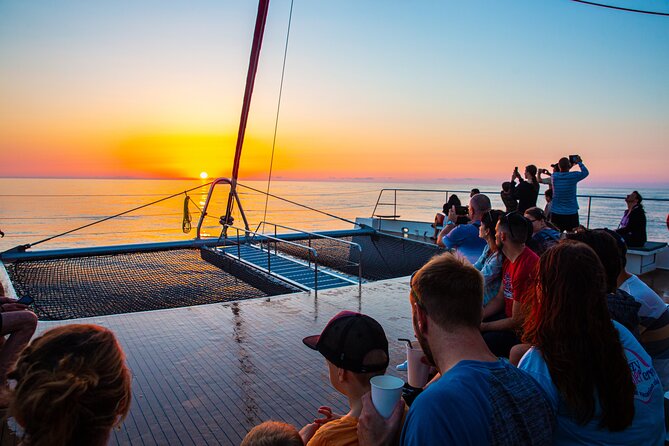 Sunrise Boat Trip in Mallorca With Dolphin-Watching - A Relaxing Catamaran Cruise