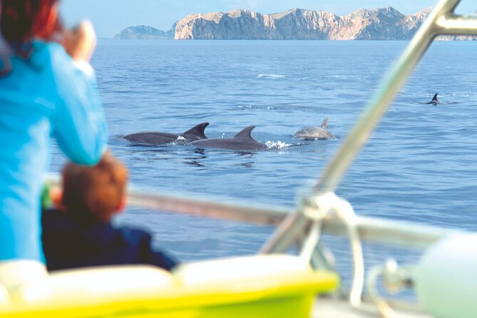 Sunrise Boat Trip in Mallorca With Dolphin-Watching - Hearty Breakfast to Start the Day