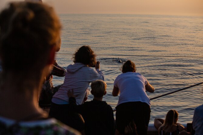 Sunrise Boat Trip in Mallorca With Dolphin-Watching - Meeting Point and Accessibility