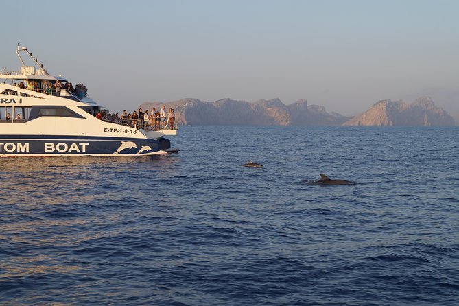 Sunrise Boat Trip in Mallorca With Dolphin-Watching - Feedback From Travelers