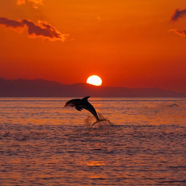Sunrise Coastline Boat Tour & Dolphin Watching - The Sum Up