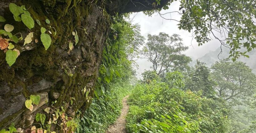 Sunrise Day Hike in Rishikesh - Authentic Reviews and Real Experiences