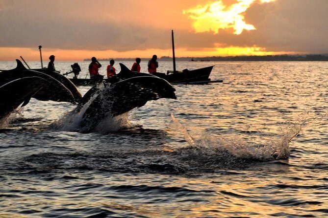 Sunrise Dolphin Wacthing & Menjangan Island Snorkeling Day Trip - Exploring the Itinerary and Its Value