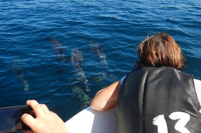 Sunrise dolphin watching experience and Bar Reef snorkelling  Kalpitiya - Analyzing the Value: Is This Tour Worth It?