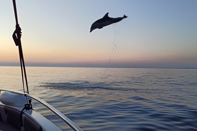 Sunrise Dolphins & Fishermen at Work speedboat tour in Rovinj - Key Points
