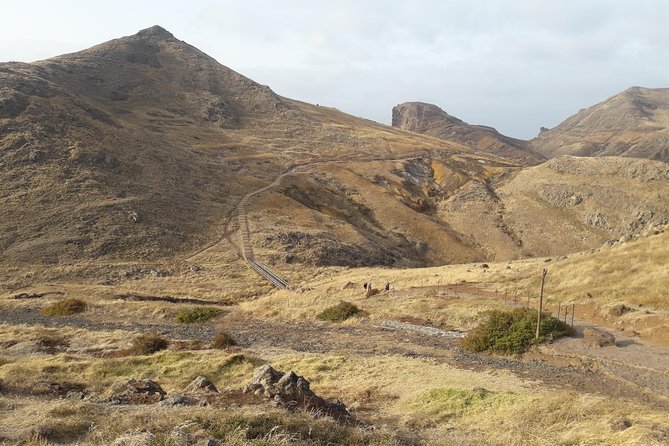 SUNRISE Guided HIKE in Ponta De São Lourenço Natural Reserve PR8 - Air-conditioned Vehicle Provided