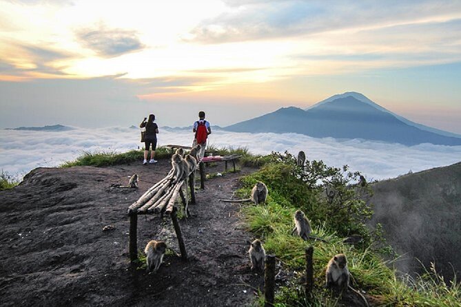 Sunrise Hike Mount Batur + Hotspring - Post-Hike Relaxation: Hot Springs or Coffee Tour