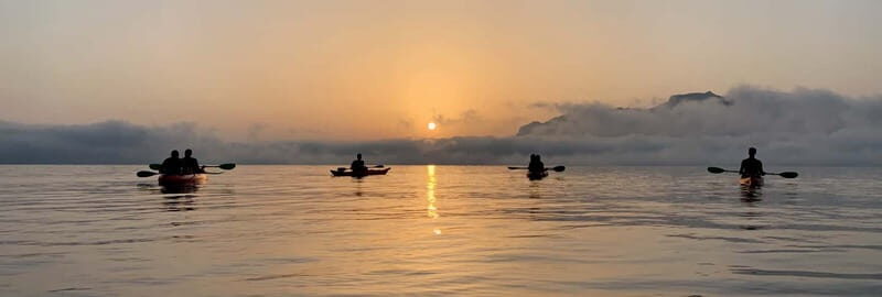 Sunrise Kayak Tour with Snorkeling and Coffee Experience - An In-Depth Look at the Sunrise Kayak Tour