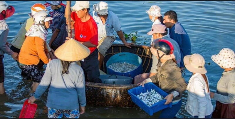 Sunrise on the Hoai River Tour in Hoi An - The Balance of Value and Authenticity