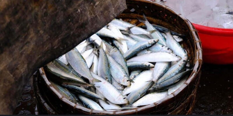 Sunrise on the Hoai River Tour in Hoi An - FAQ