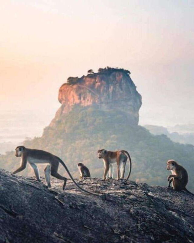 Sunrise or Sunset Tour to Pidurangala Rock with Scenic Views - Key Points