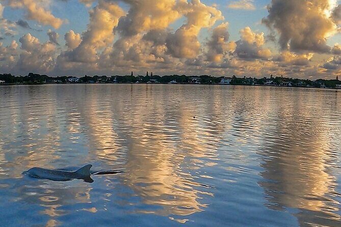 Sunrise Paddle Boarding Adventure in Jupiter - The Sum Up