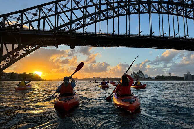 Sunrise Paddle Session on Syndey Harbour - Key Points