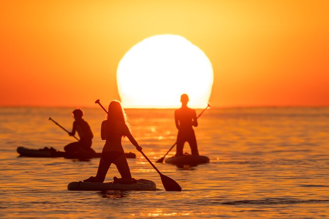 Sunrise Paddle Surf With Instructor and Photos Included - Exploring Barcelona Beyond the Sunrise Paddle Surf