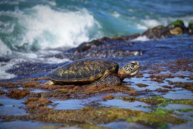 Sunrise Plus Island Tour - FAQ