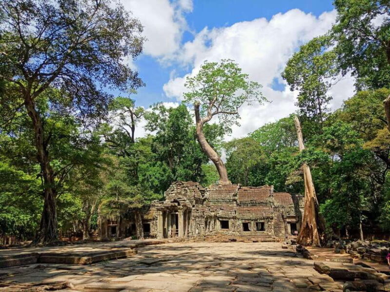 Sunrise Shared Tours: Angkor Wat-Bayon-Ta Prohm-Banteay Srei - Final Thoughts: Who Is This Tour Best For?