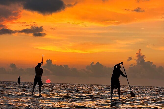 Sunrise Stand Up Paddle activity on a privileged beach. - Key Points