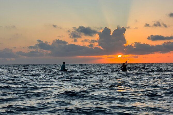 Sunrise Stand Up Paddle activity on a privileged beach. - The Experience in Detail