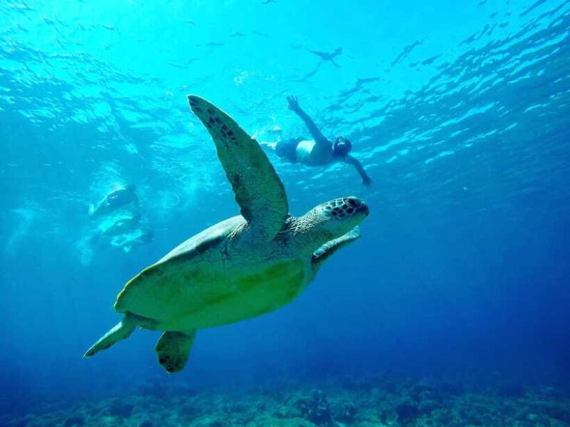 Sunrise Stand Up Paddle Board With Drone Shoot - The Sum Up: Is It Worth It?