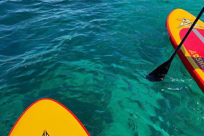 Sunrise SUP Tour & Breakfast - Private Stand up Paddle Boarding Experience - Tour Schedule and Accessibility