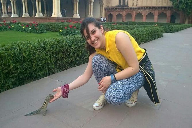 Sunrise Taj Mahal, Agra Fort & Baby Taj Tour from Delhi by Car - Introduction
